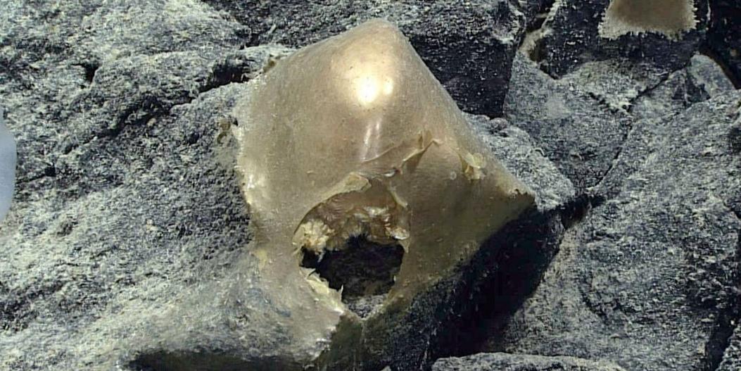 Les chercheurs sont intrigués par un orbe doré découvert sur le fond ...